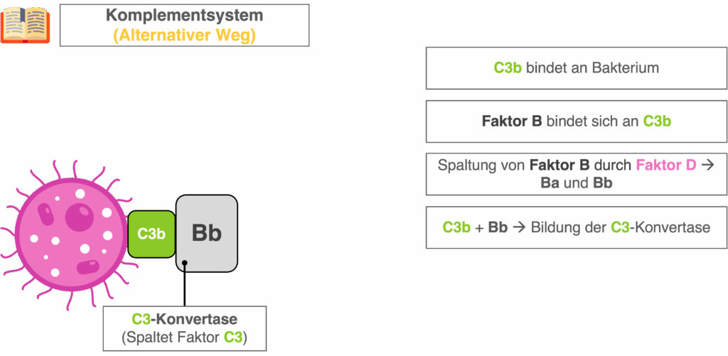 Einfach Medizin