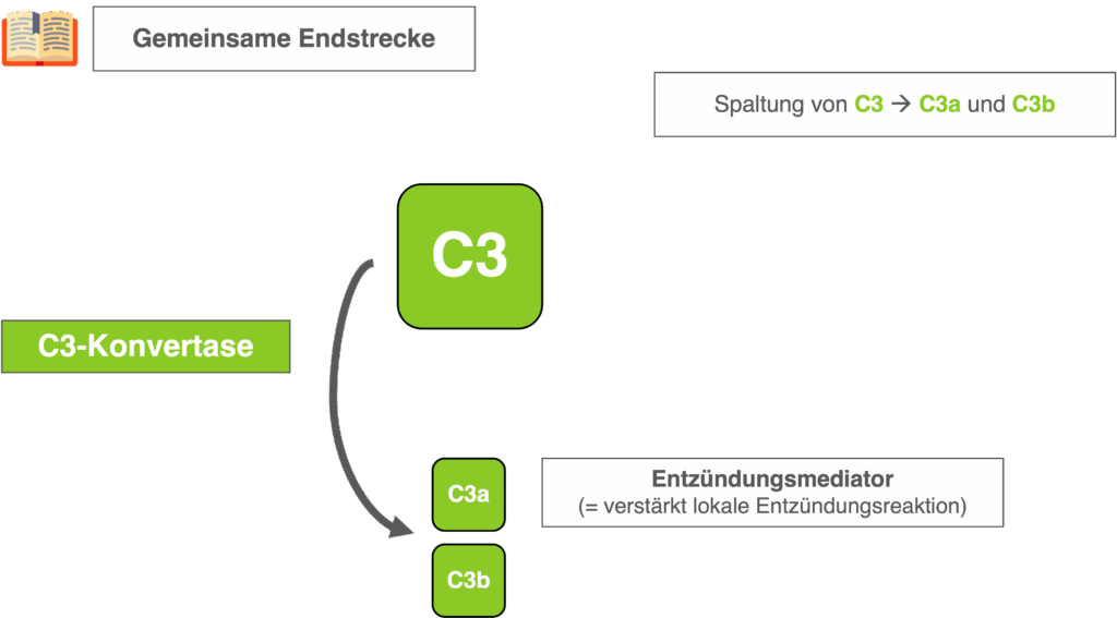 Einfach Medizin