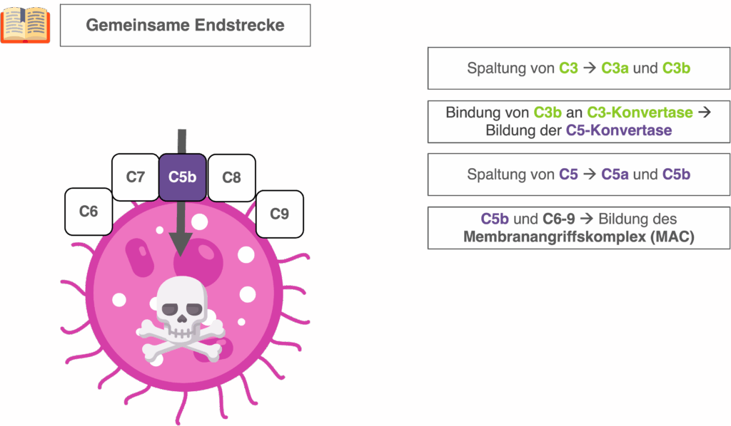 Einfach Medizin